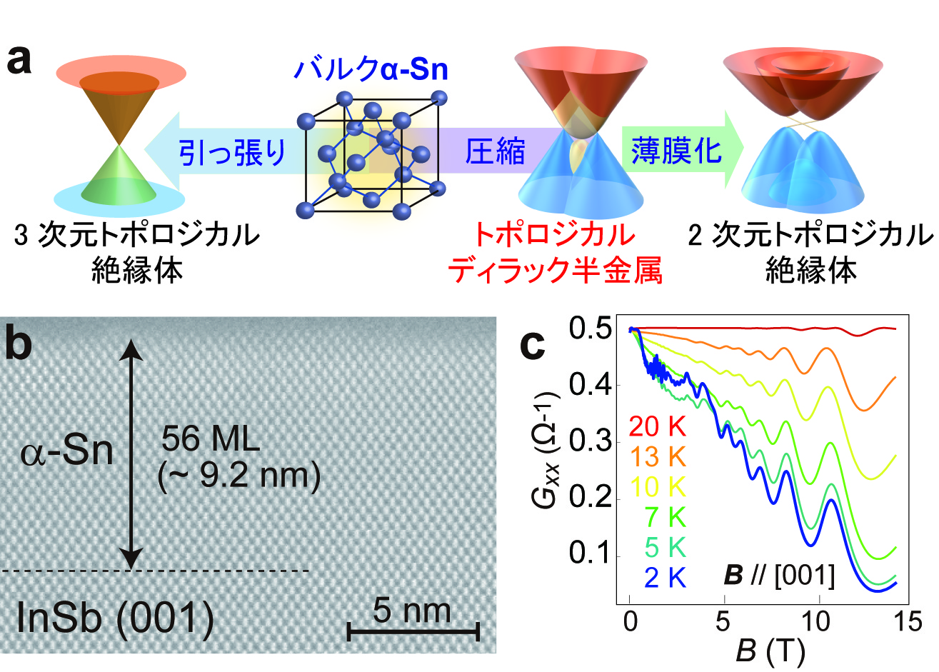 Exploring new topological materials - Anh Lab